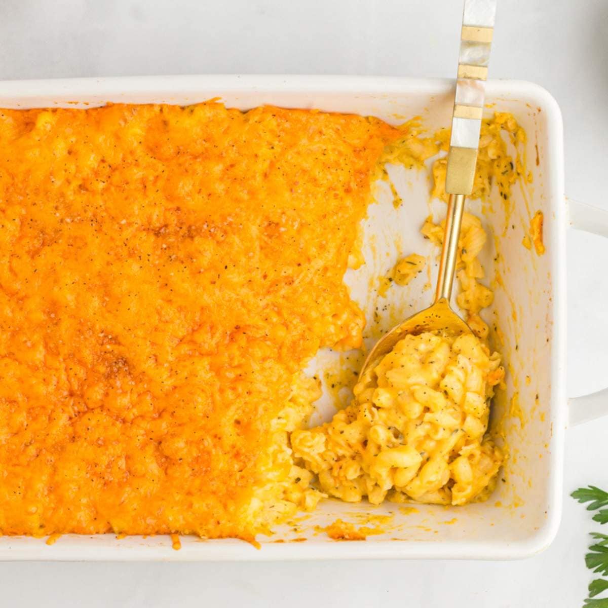 Butternut Squash Mac and Cheese {Gluten-Free} - Mama Knows Gluten Free